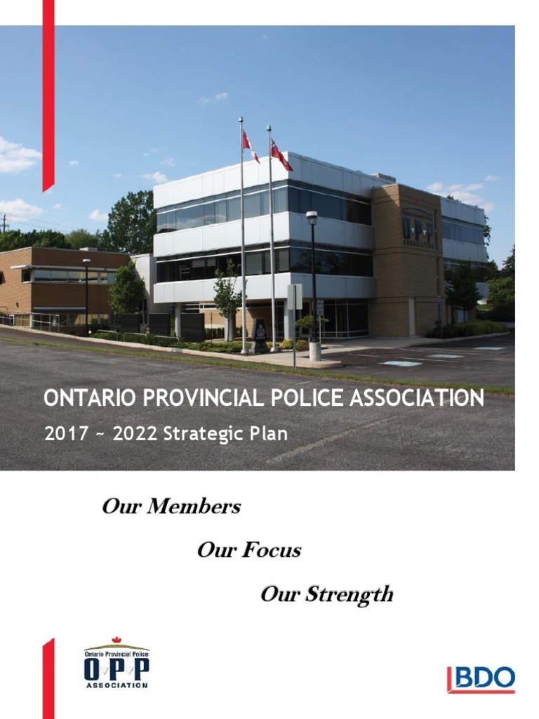 OPPA Final Version of 2017-2022 Strategic Plan | PDF | Governance ...