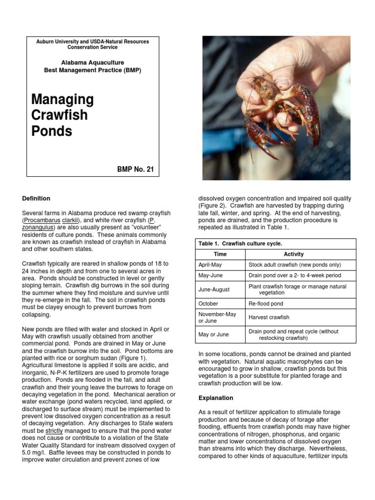 Alabama Aquaculture - Managing Crawfish Ponds | PDF | Fertilizer | Pond