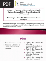 Seuil de Signification | PDF | Capitaux propres | Audit
