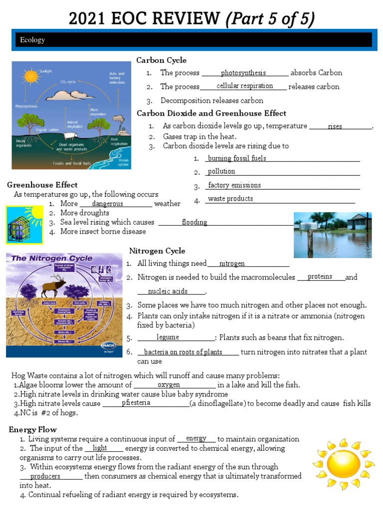 EOC Review 5 (Ecology, Classification, & Animal Behavior) | PDF | Food ...