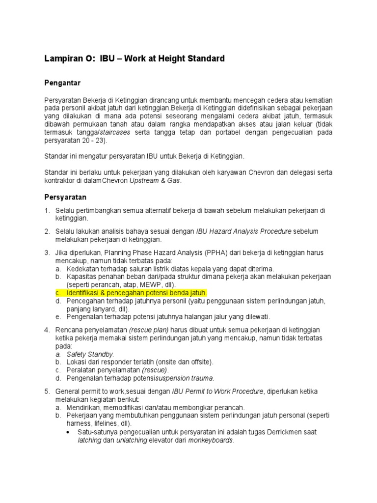 IBU - Work at Height Standard | PDF