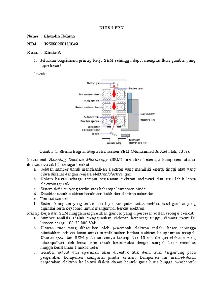 Komponen dan Prinsip Kerja SEM | PDF | Sains & Matematika