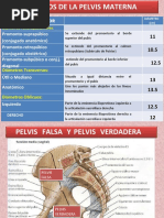 Maniobra de Ritgen | PDF | Parto | Reproducción