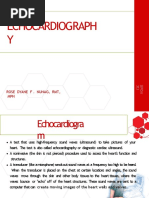 Echocardiography Report Template - EDEC Logbook 2023 | PDF | Echocardiography | Ventricle (Heart)