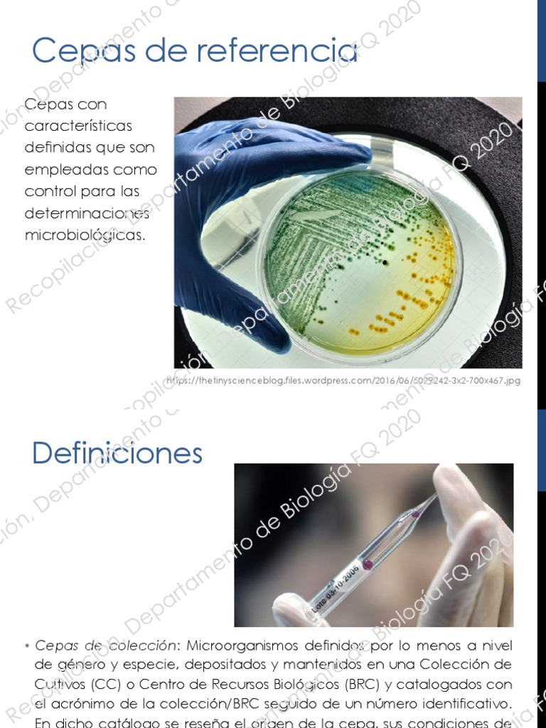 Cepas Referencia | PDF | Cepa (biología) | Laboratorios