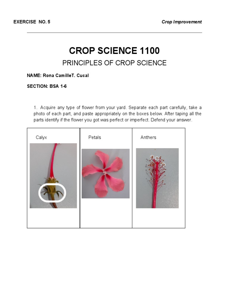 Principles of Crop Science | PDF | Flowers | Pollination