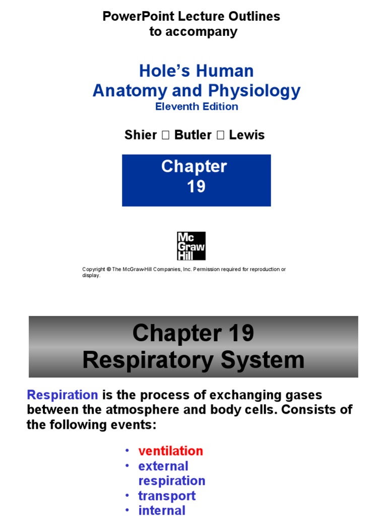 Hole'S Human Anatomy and Physiology: Powerpoint Lecture Outlines To ...
