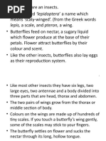 Butterfly Camouflage Classroom Activity | PDF | Camouflage | Mimicry