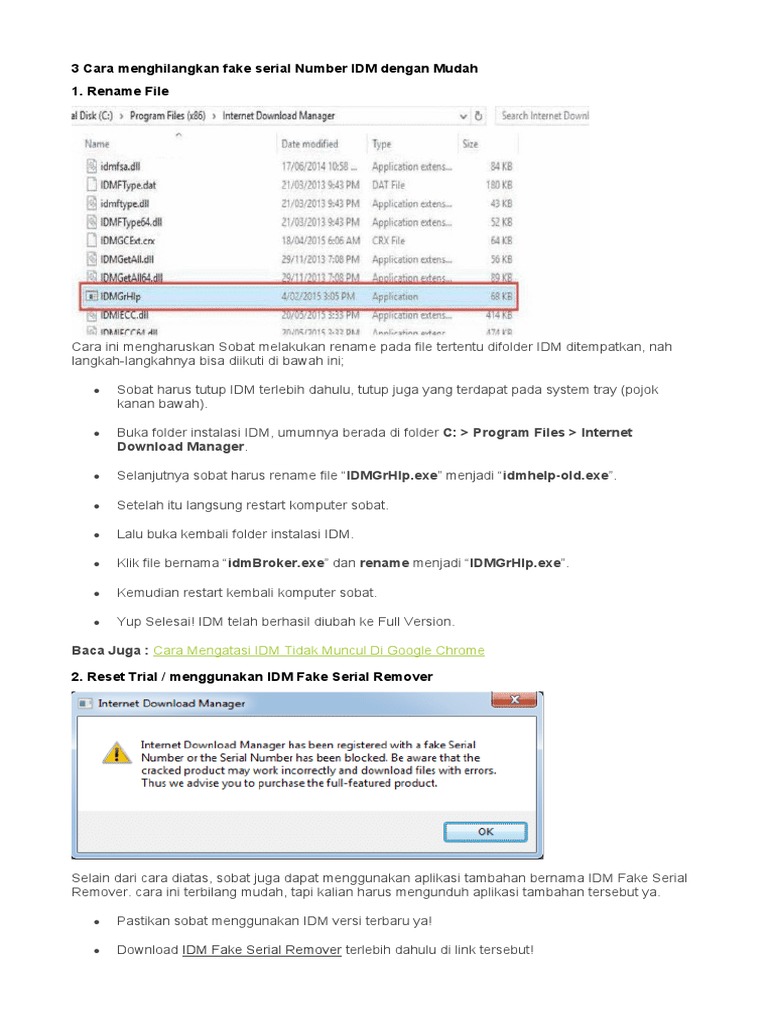 3 Cara Menghilangkan Fake Serial Number IDM Dengan Mudah | PDF