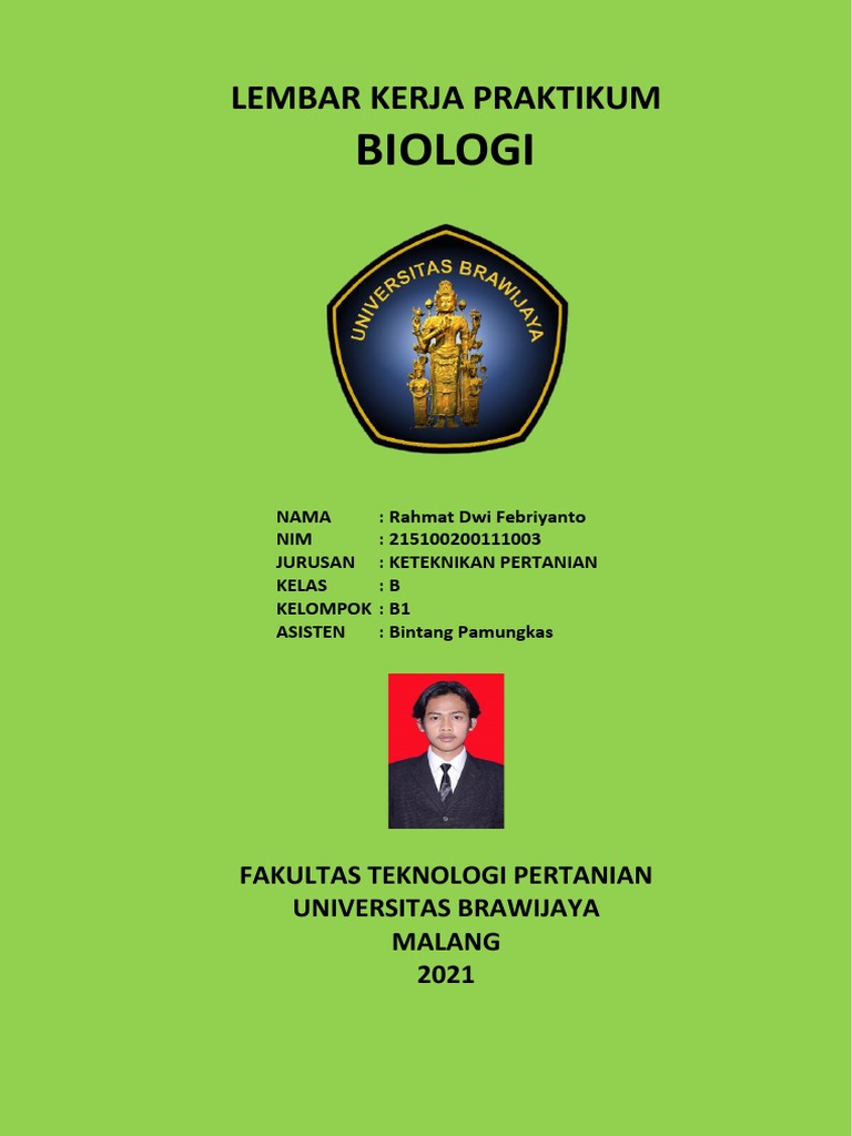 Laporan - Rahmat Dwi Febriyanto - B1 - BD3 | PDF