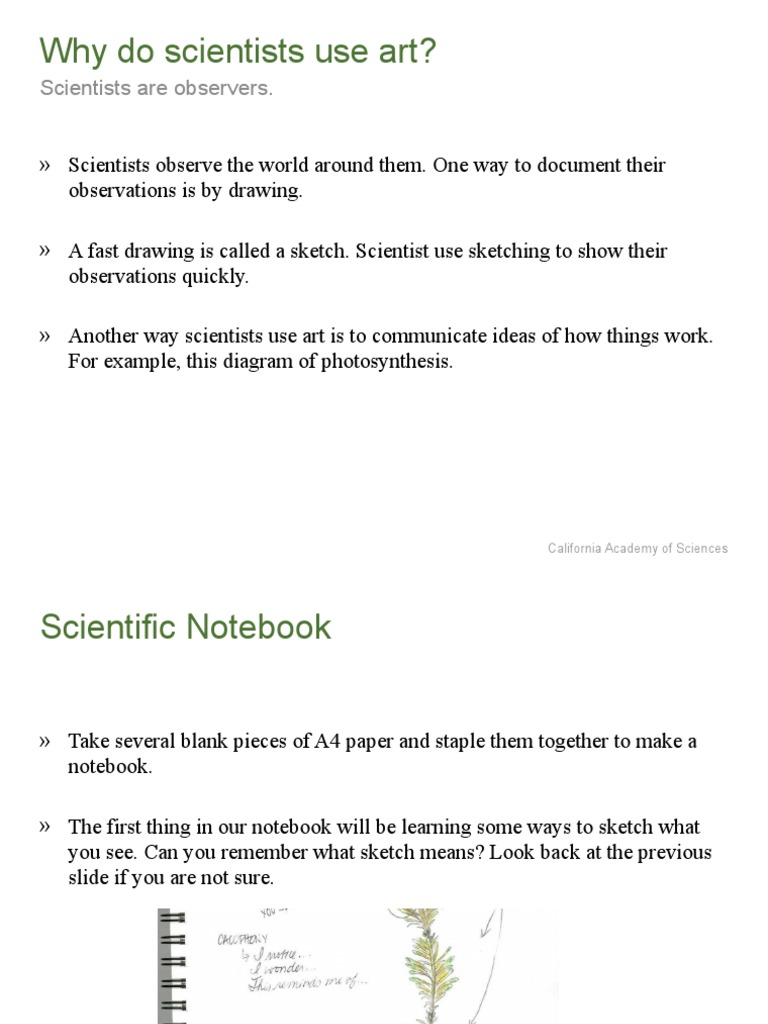 Sketching for Young Scientists | PDF