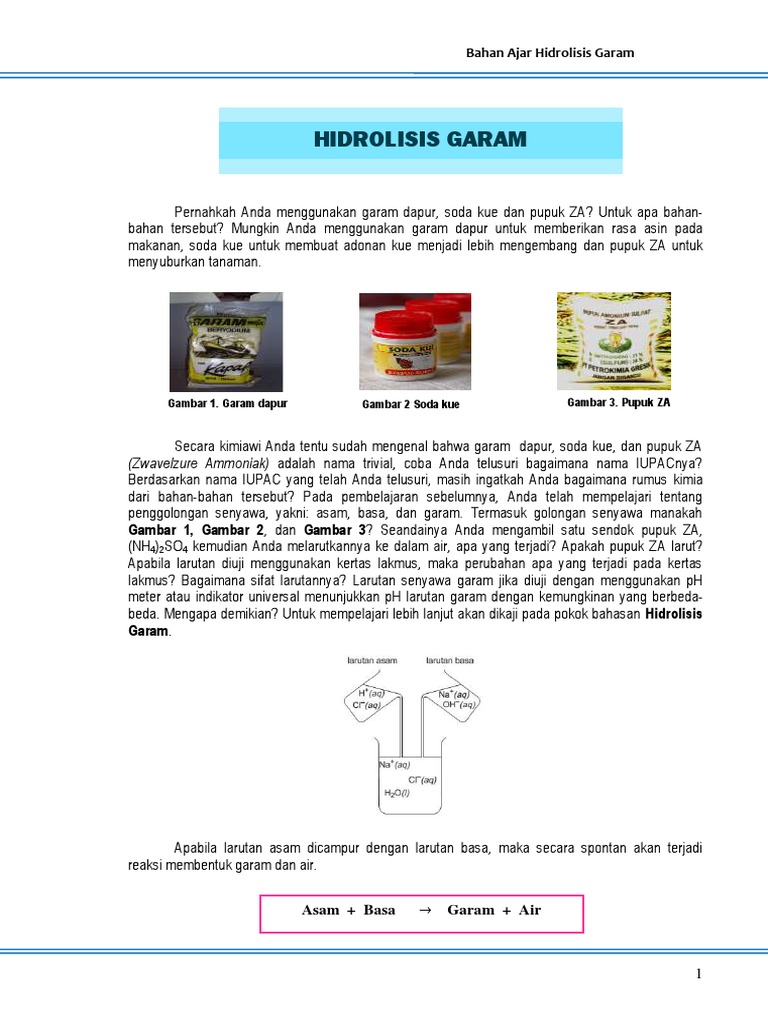 Kesetimbangan Ion Dan PH Larutan Garam | PDF