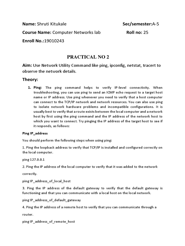 Understanding Network Utility Commands An In Depth Analysis Of Ping Ipconfig Netstat And