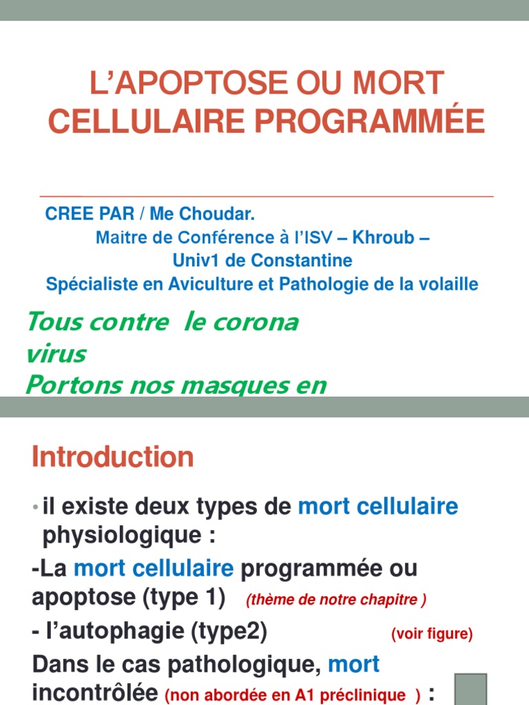 Mort Cellulaire | PDF | Apoptose | Mitochondrie