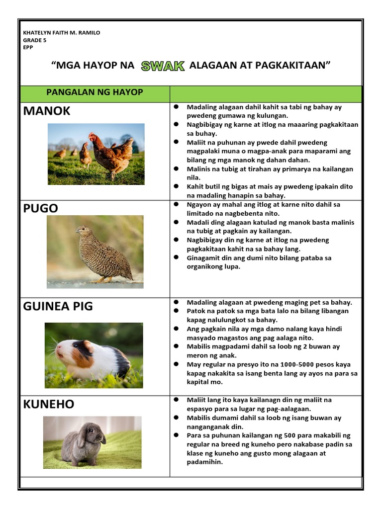 Manok: "Mga Hayop Na Alagaan at Pagkakitaan" | PDF