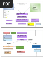 Totilac | PDF | Lactic Acid | Intravenous Therapy
