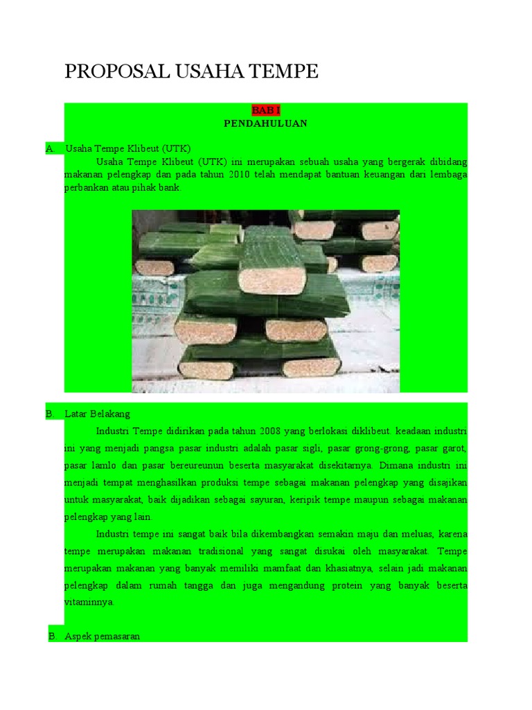 Proposal Usaha Tempe | PDF