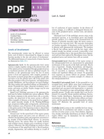 Pirani Score Form PDF | PDF