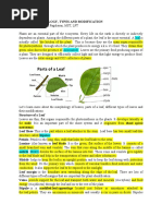 Constructing a Leaf Dichotomous Key | PDF | Leaf | Branches Of Botany