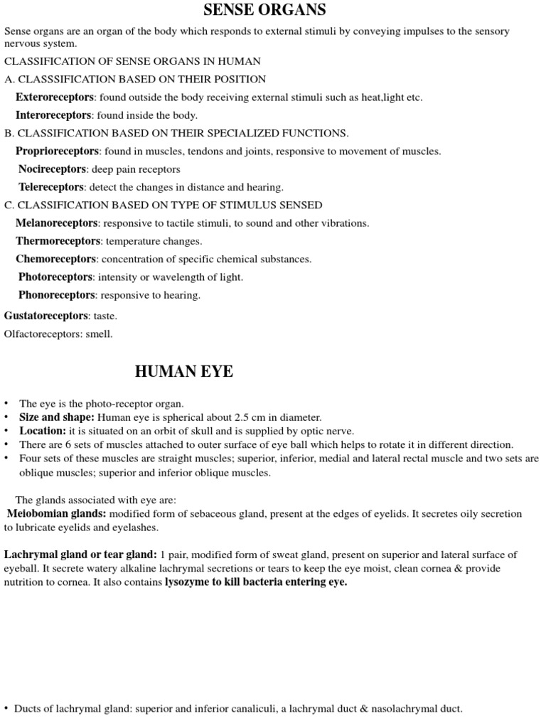 Sense Organs | PDF | Ear | Visual System