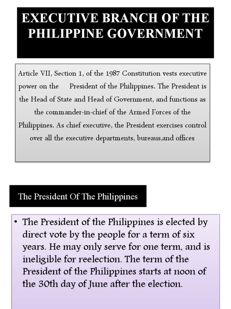 Overview of the Philippine Presidency | PDF | World Politics ...