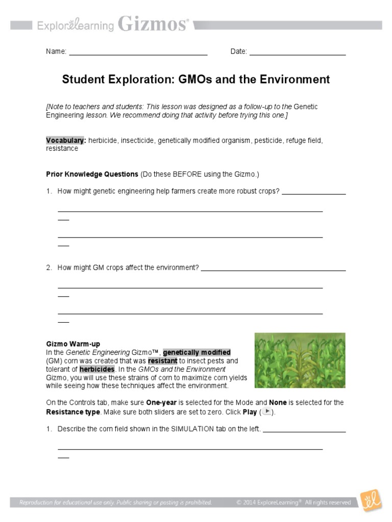 GMOS and Environment | PDF | Genetically Modified Organism | Herbicide