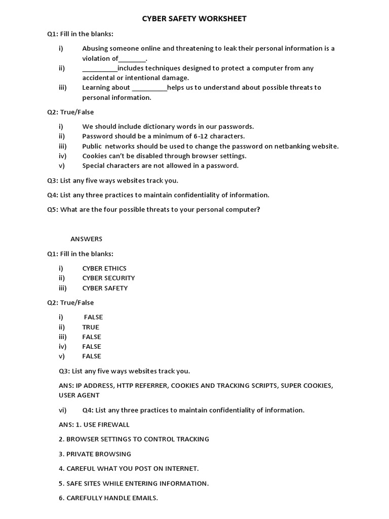 Cyber Safety Worksheet | PDF | Computers