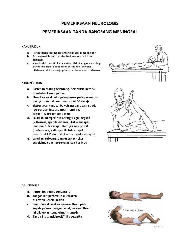 Pemeriksaan Neurologis Stase Anak | PDF
