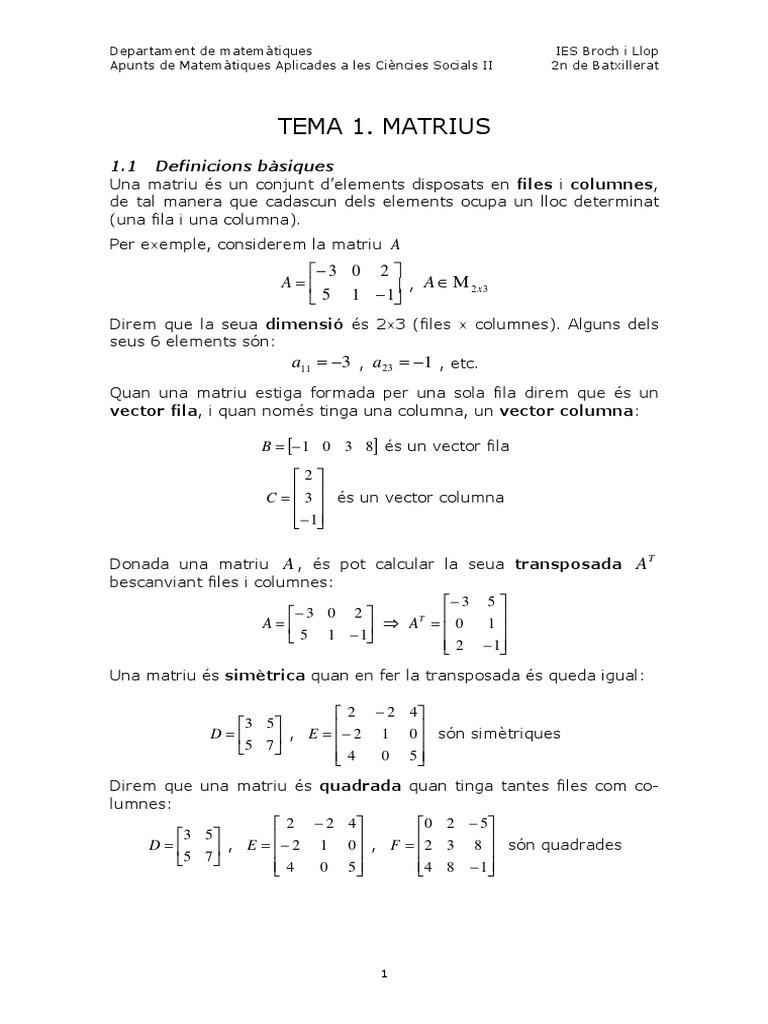 Tema 01 Matrius Apunts | PDF