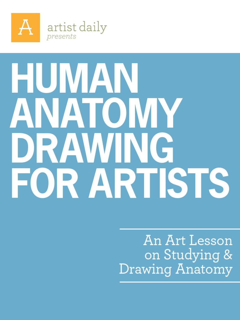 An Art Lesson On Studying and Drawing An | PDF | Anatomy | Cadaver