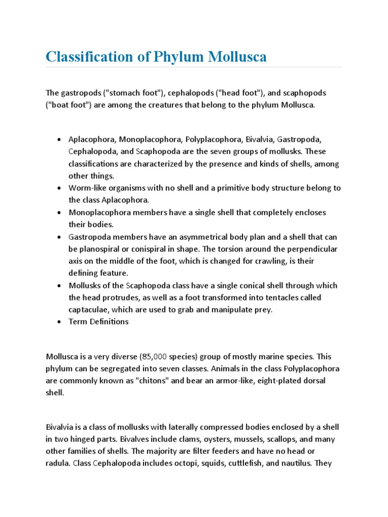 Classification of Phylum Mollusca | PDF