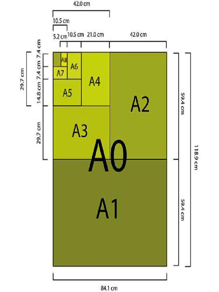 Medidas de Hojas | PDF