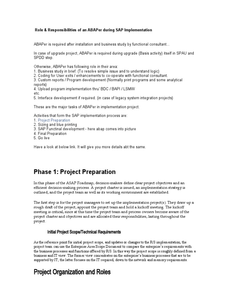 ABAPer Roles in SAP Implementation | PDF | Business Process | System
