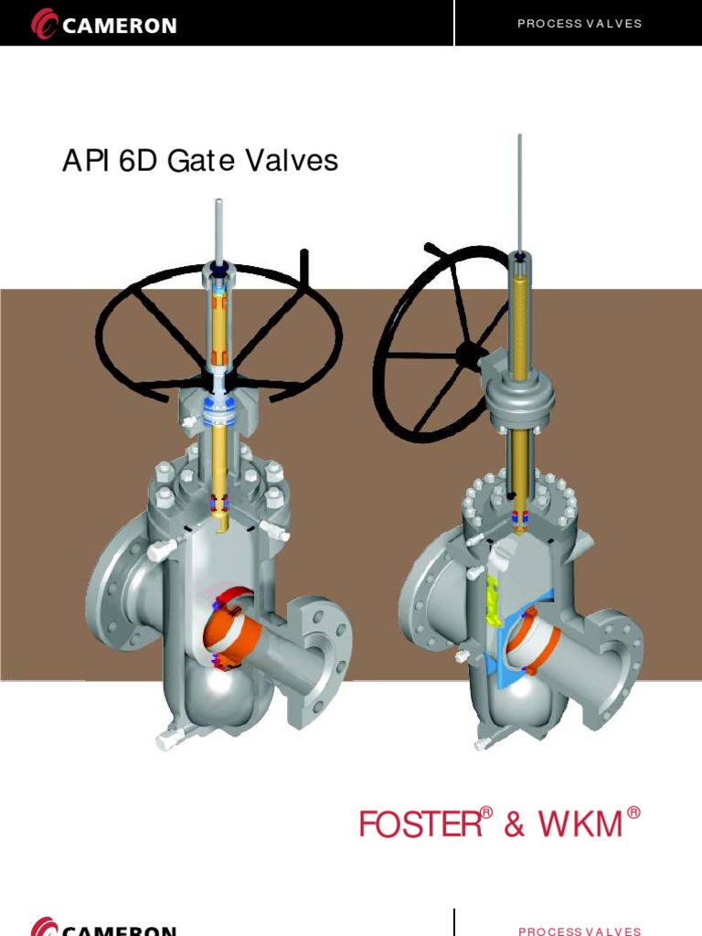 Api 6D | PDF | Valve | Indemnity
