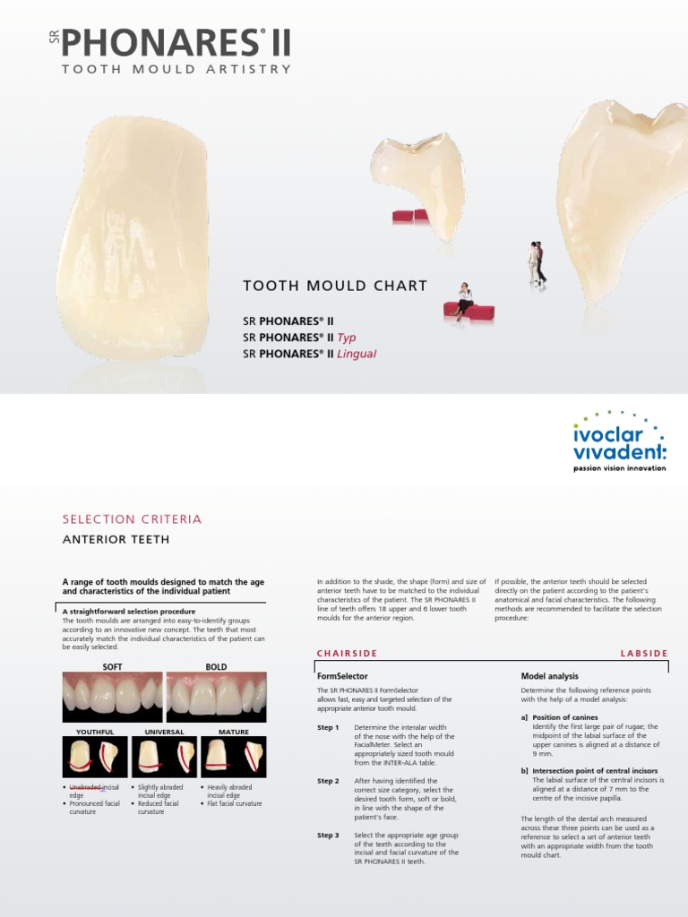 SR Phonares II Tooth Mould Chart | PDF | Dentures | Tooth