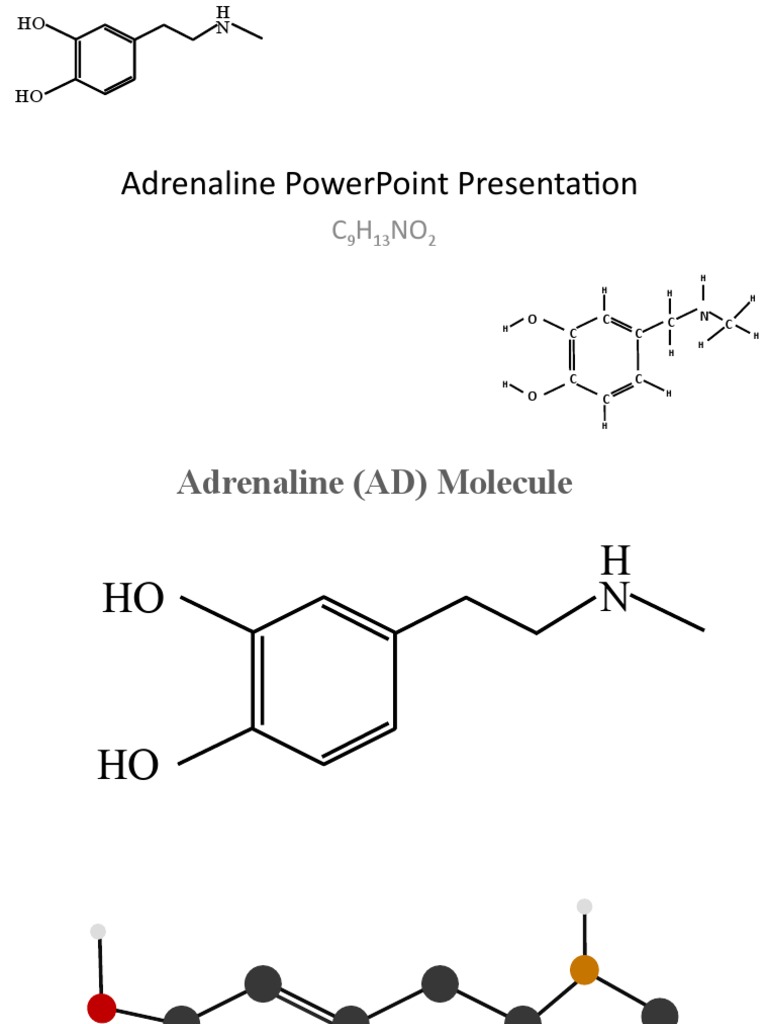 Adrenaline Powerpoint Presentation: C H No | PDF | Websites | Hyperlink
