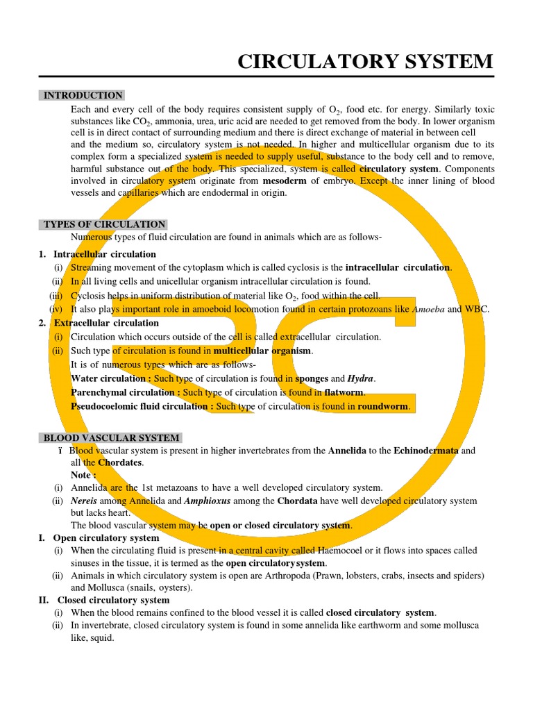Circulatory System | PDF | Heart Valve | Atrium (Heart)