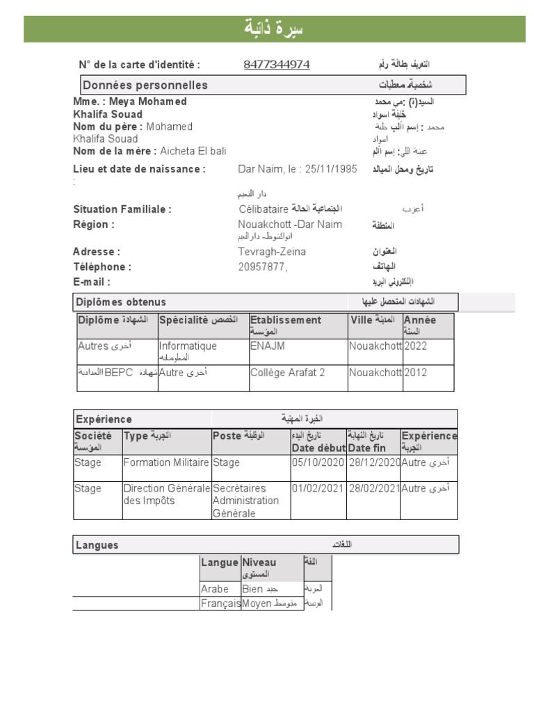 CV de Meya Mohamed Khalifa Souad | PDF