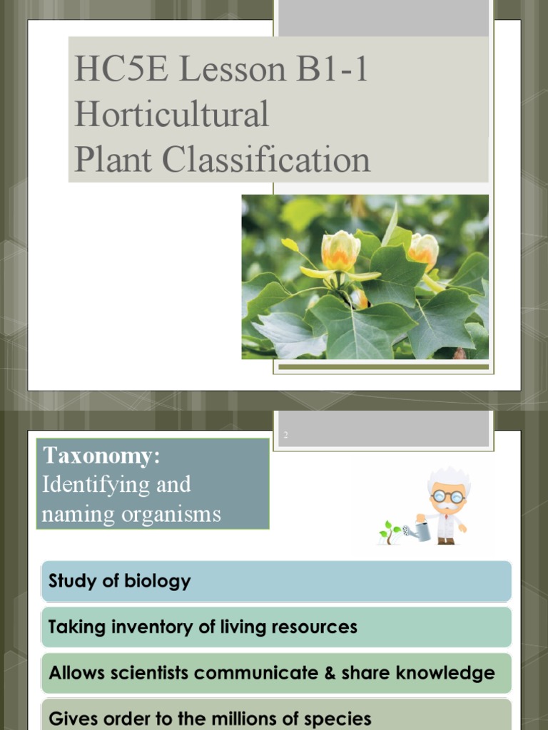 HC5E Lesson B1-1 Horticultural Plant Classification | PDF | Perennial ...