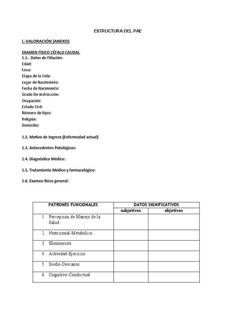 Estructura Del Pae Completo | PDF | Dormir | Enfermería