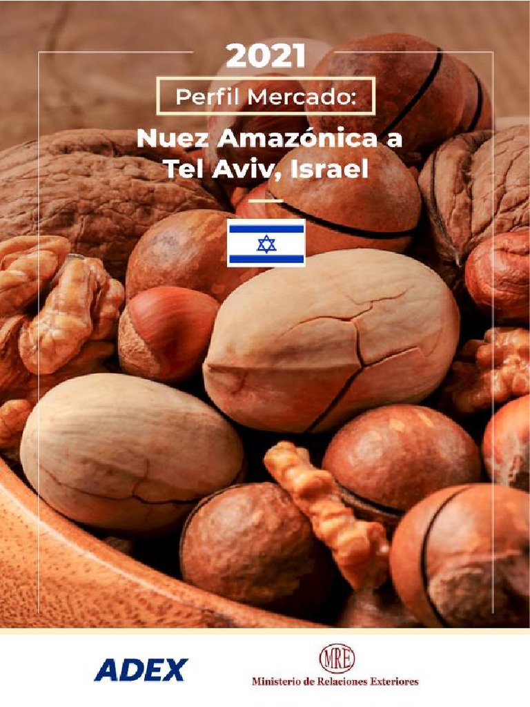 Perfil D Emercado Nuez Amazonica | PDF