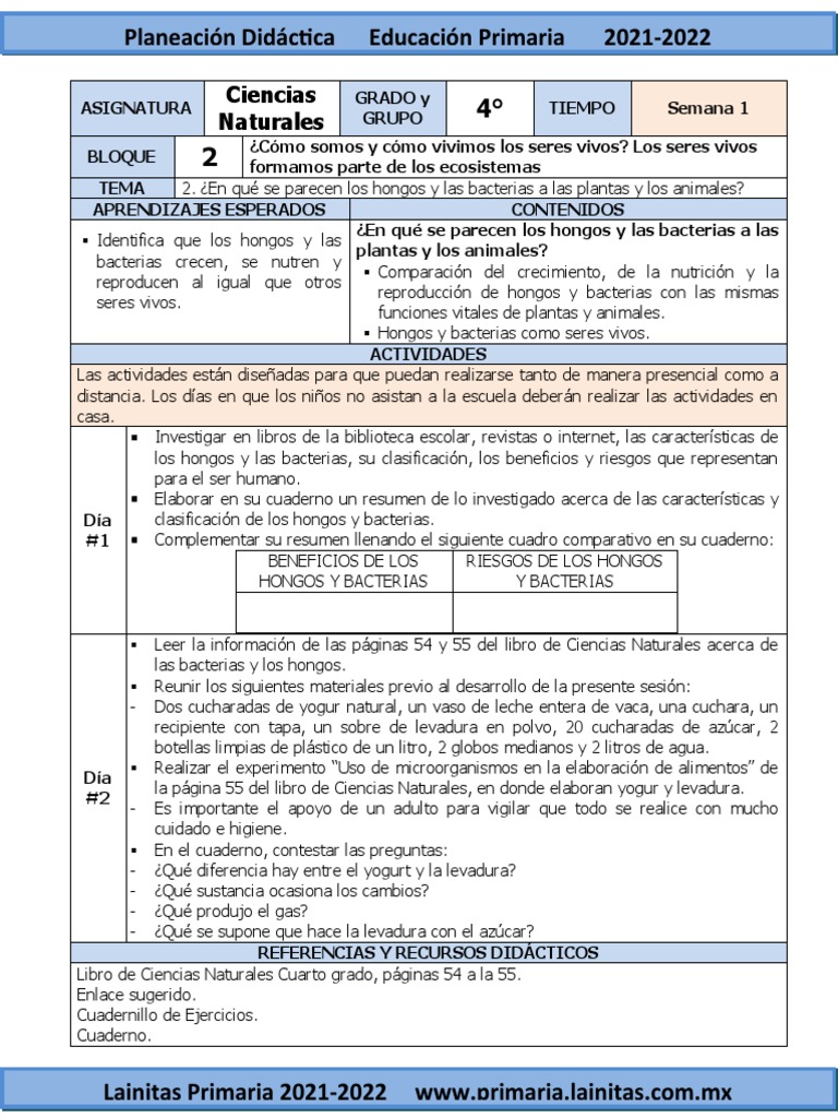 ?diciembre - 4to Grado Ciencias Naturales (2021-2022) | PDF ...