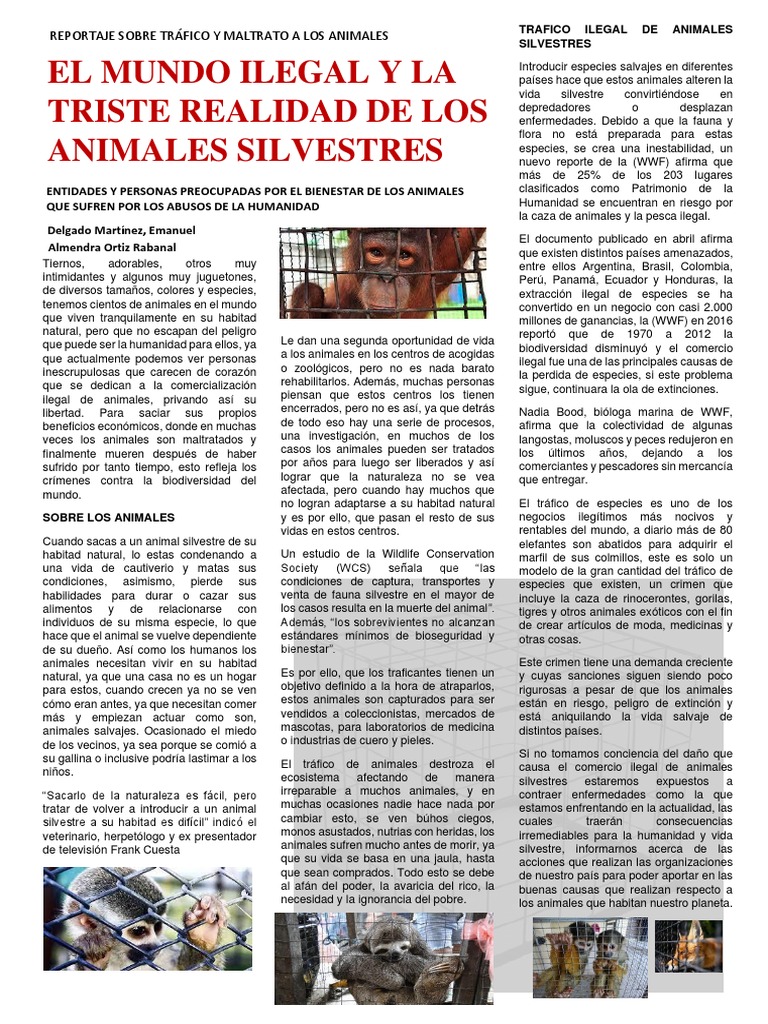 Periodismo Informativo | PDF | Organismos | Entorno natural