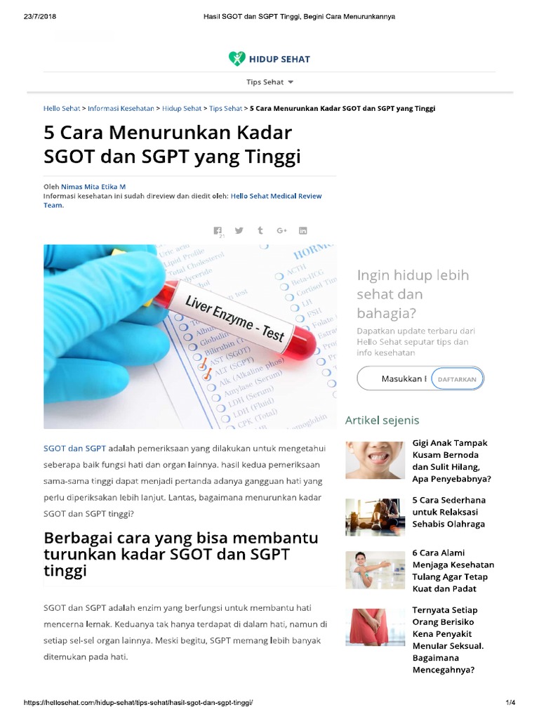 Hasil SGOT Dan SGPT Tinggi, Begini Cara Menurunkannya | PDF