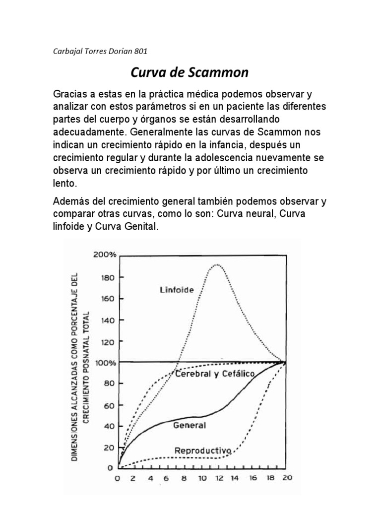 Curva de Scammon | PDF | Estilo de vida