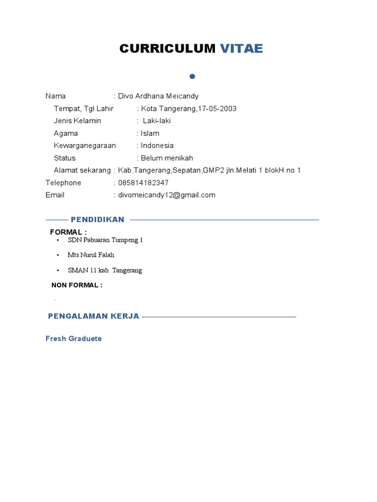 CV Divo Ardhana Meicandy 2023 | PDF | Gaya Hidup