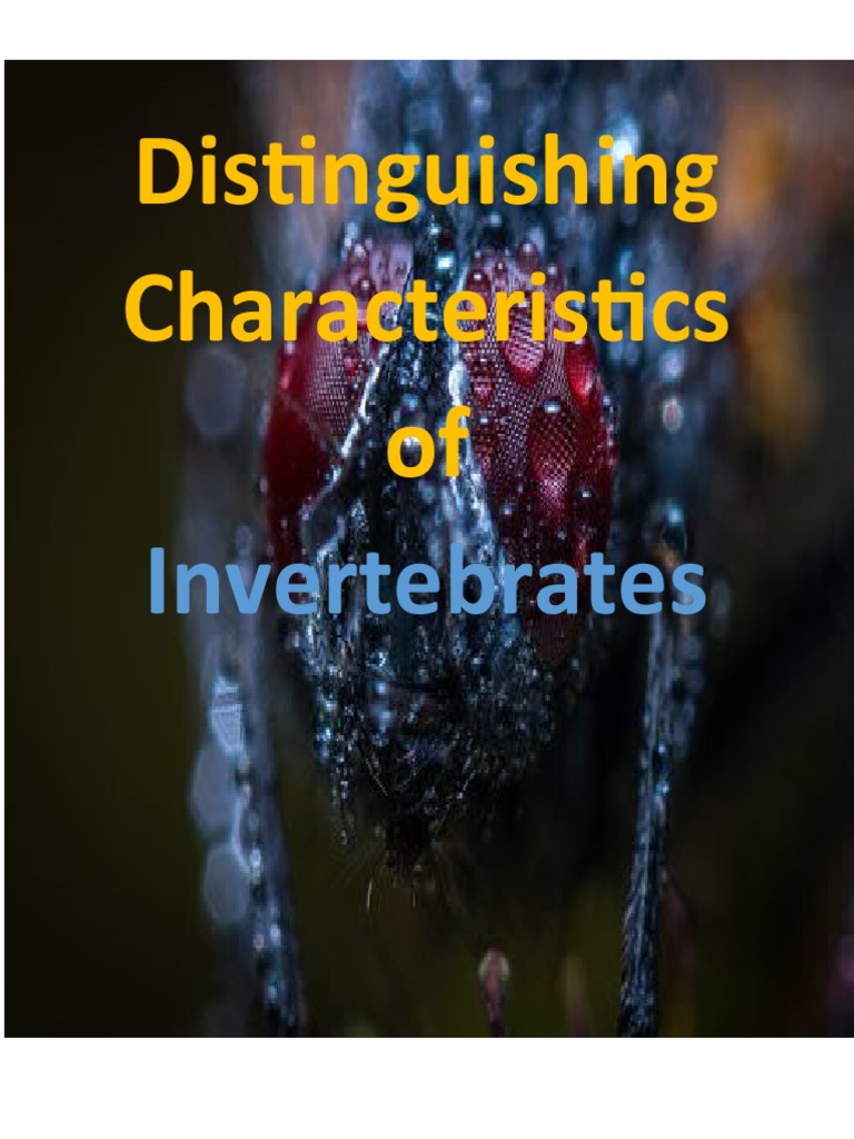 Characteristics of Invertebrates | PDF | Invertebrate | Organisms
