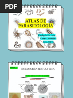 Atlas de Parasitologia | PDF