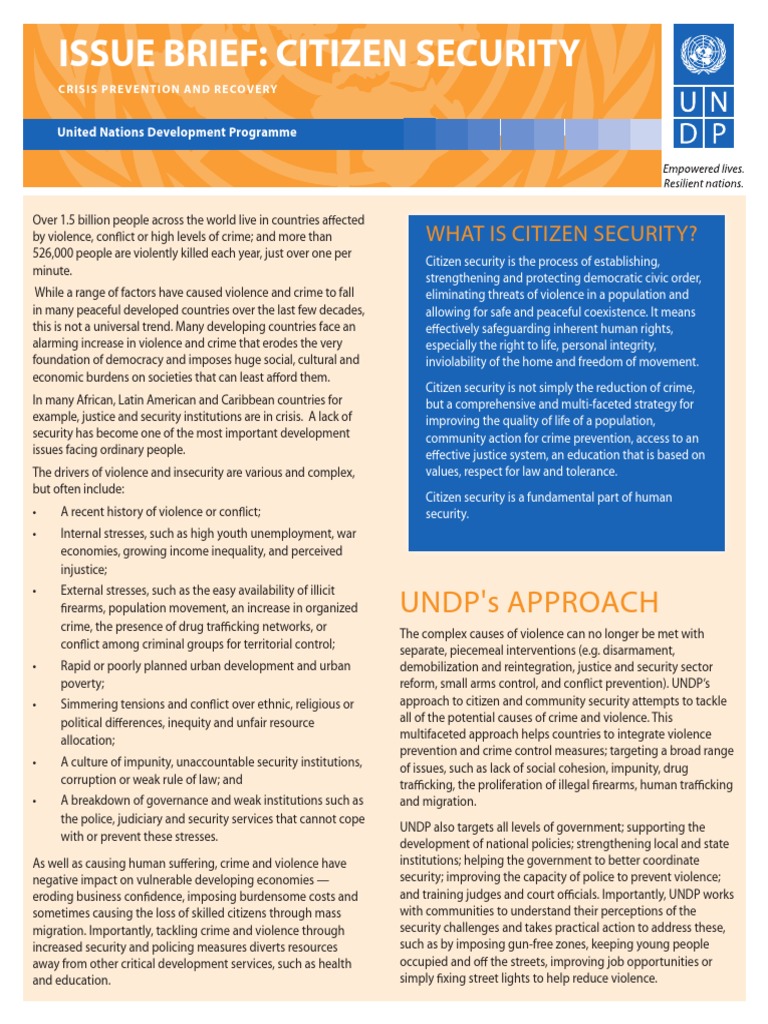 Citizen Security Issue Brief (English) | PDF | Violence | Securities