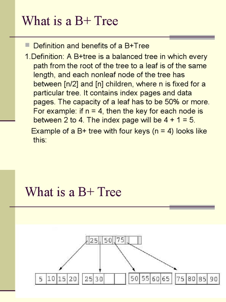 B - Trees | PDF | Information Retrieval | Database Index